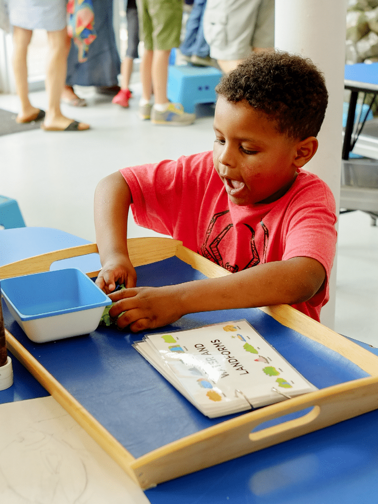 Self-Led Resources - Brooklyn Bridge Park